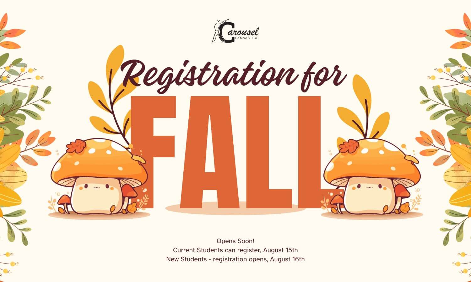 Carousel Gymnastics – Inspiring happy, healthy, self-confident kids